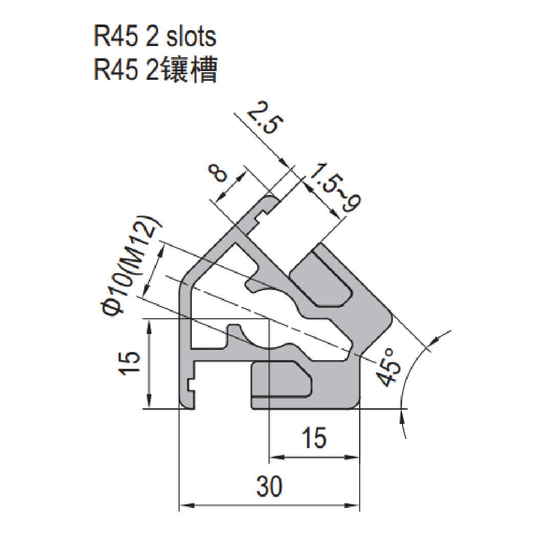 Clamping Profile PG30 R45 - 2 Clamping Slots - DIY Geek